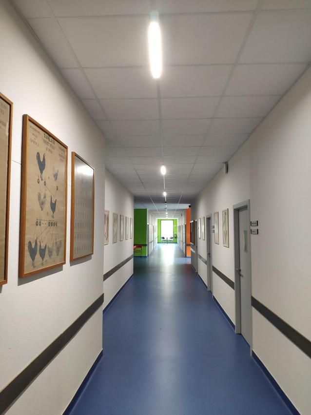 ESAC reforça edifícios